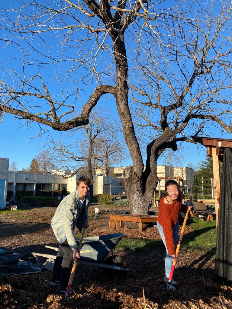 November 2021 | The Ceres Project, Part I: Teen Power – An interview ...